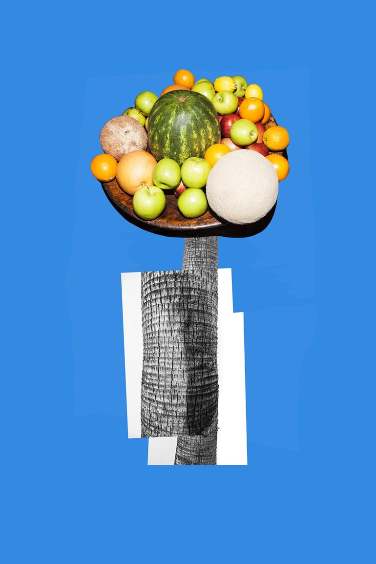 palm psalm 201 - Limited Edition 1 of 25 Photography by Adam Fedderly ...