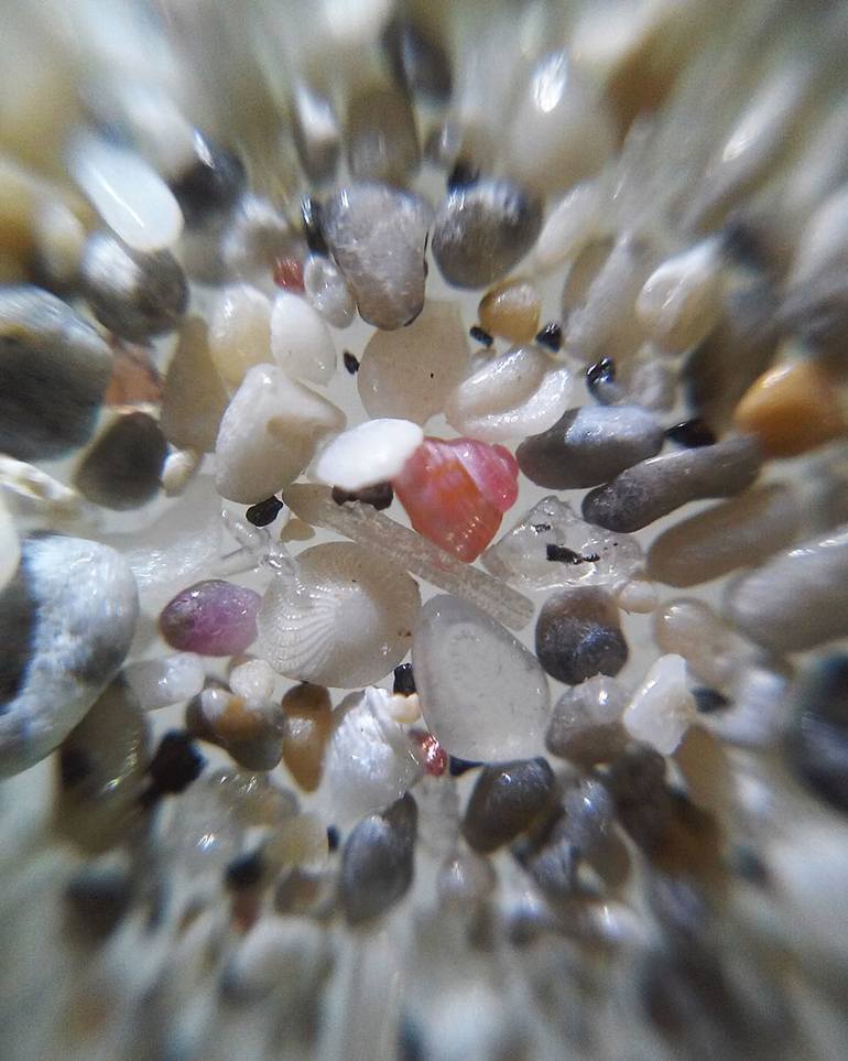 'Dynamic Earth' series, Shell Sand, Injidup Beach, Western Australia ...