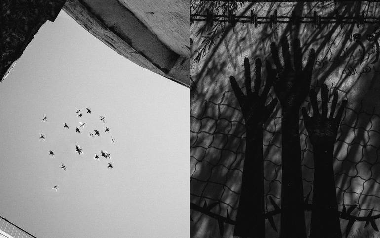 The Bird Cage - Limited Edition 1 of 5 Photography by Bea Zamora C ...