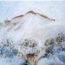 Winter Mountain Painting by June Stapleton | Saatchi Art