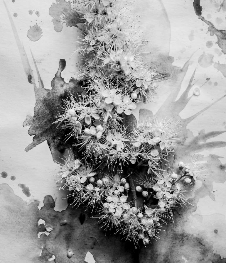 flower clouds - Limited Edition 1 of 3 Photography by Elusha Elina ...