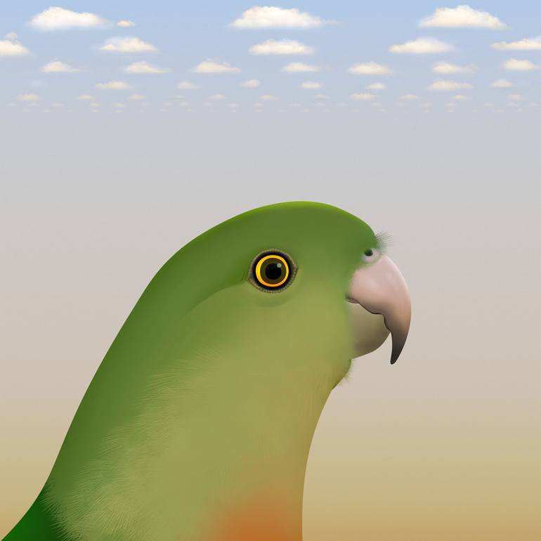 King Parrot (Queen) - Limited Edition 18 of 20 Printmaking by Kim Lynch ...