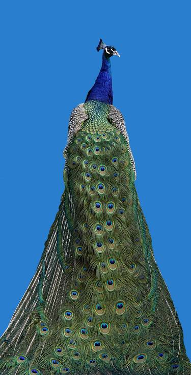 Manuel Barth Artworks | Saatchi Art