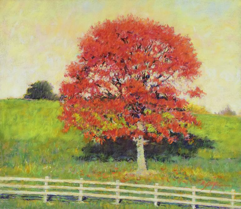 RED MAPLE - MORNING Painting by WF James Studio | Saatchi Art
