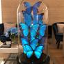 Butterflies in Glass dome Sculpture by Iveta Vigoureux | Saatchi Art