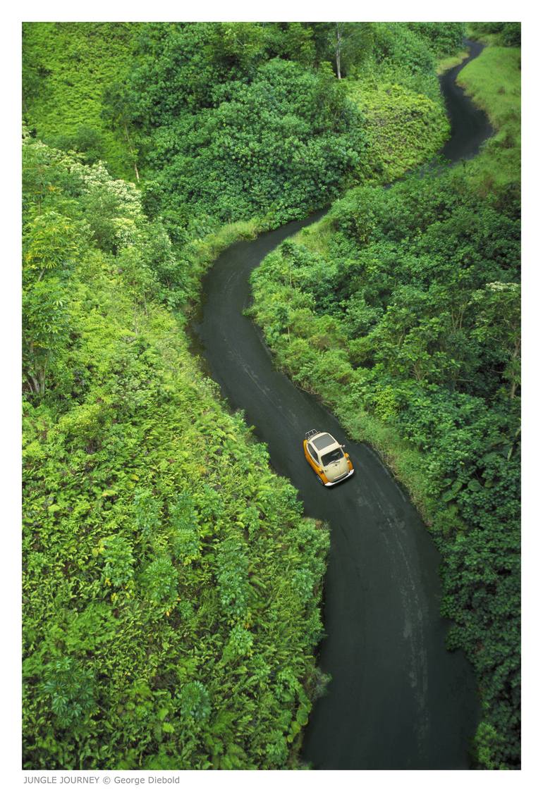 JUNGLE JOURNEY - Limited Edition 1 of 100 Photography by George Diebold ...