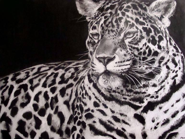 Panthera Onca Drawing by Paul Mwamba | Saatchi Art