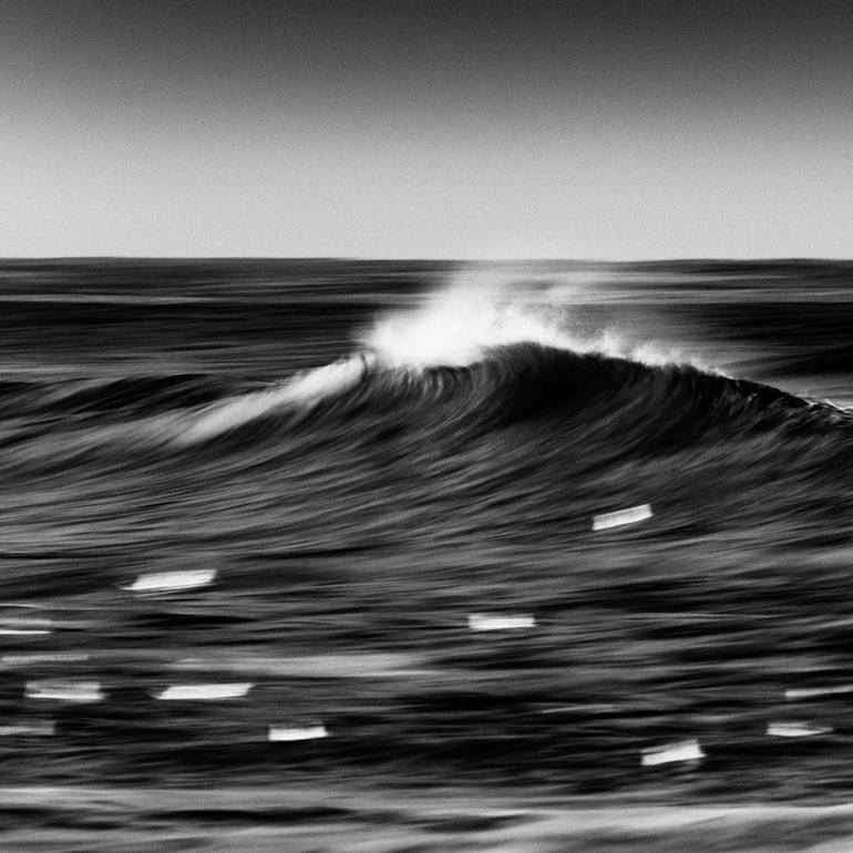 Birds feeding at the sea, Abashiri Photography by Francesco Libassi ...