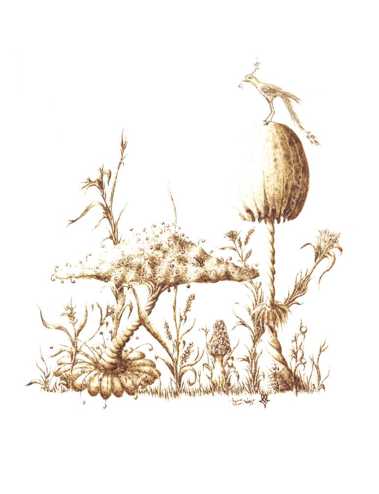 Setting Atop a Shroom Drawing by Jessica Stepp | Saatchi Art