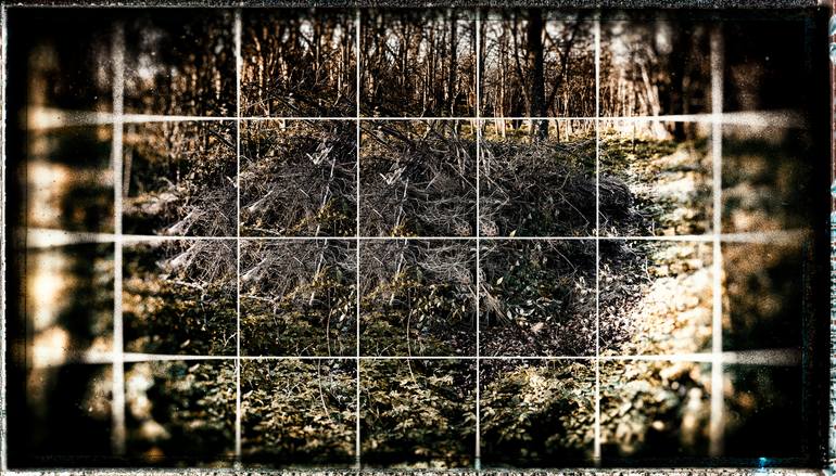 Twig Pile iv, 2017 - Limited Edition of 10 Photography by Keith Hammond ...