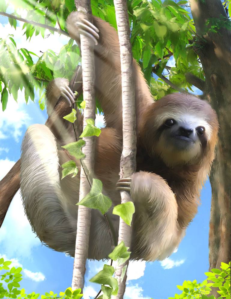 Three Toed Sloth Digital by Dionne Stratton | Saatchi Art