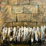 Hassidim by the Wailing Wall I Painting by Yossi Rosenstein | Saatchi Art