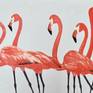 Constellation Flamingo. Family (MW-02) Painting by Kateryna Nych ...