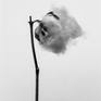 Cotton I - Limited Edition of 5 Photography by Mario Kroes | Saatchi Art