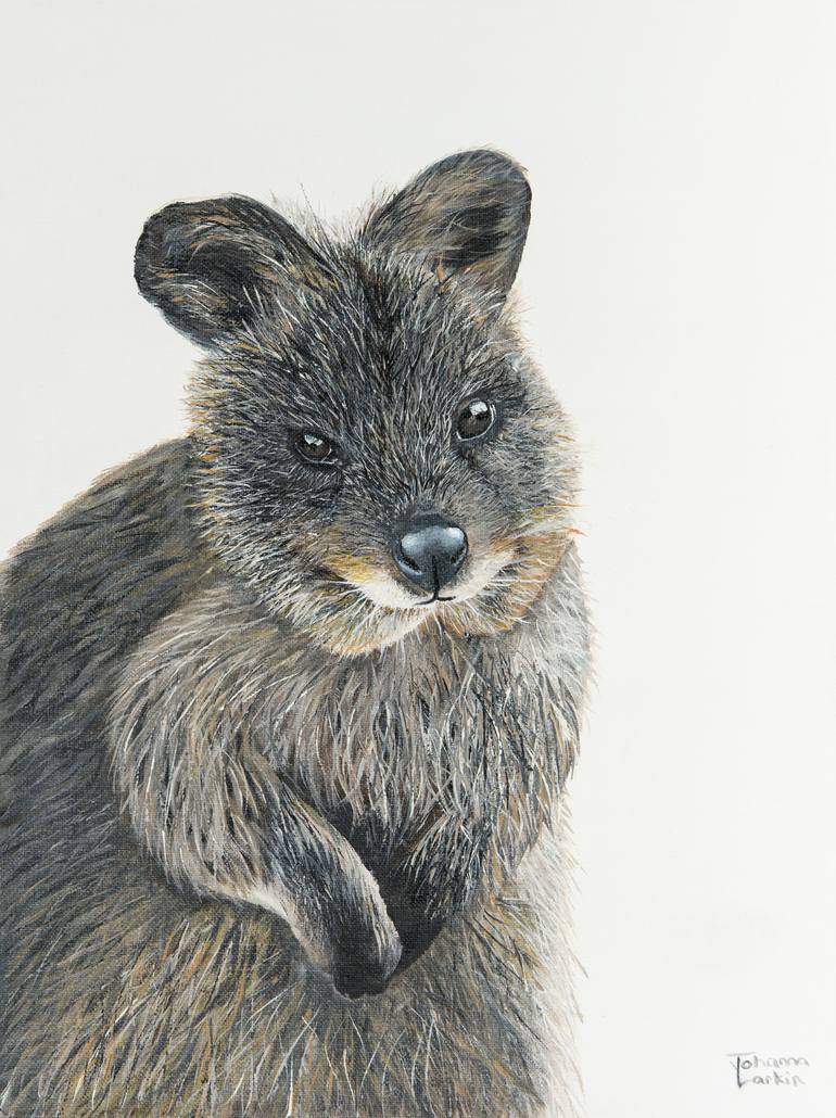 Australian Quokka Painting by Johanna Larkin | Saatchi Art