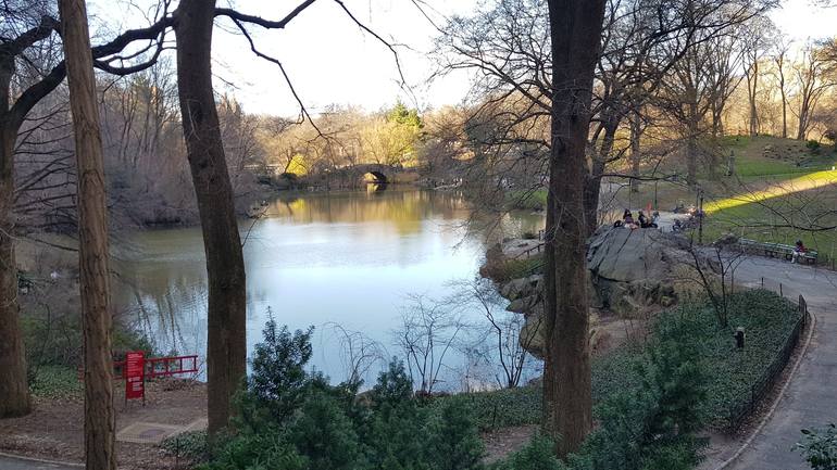 The Pond - Limited Edition of 2 Photography by Charles Bronstein ...