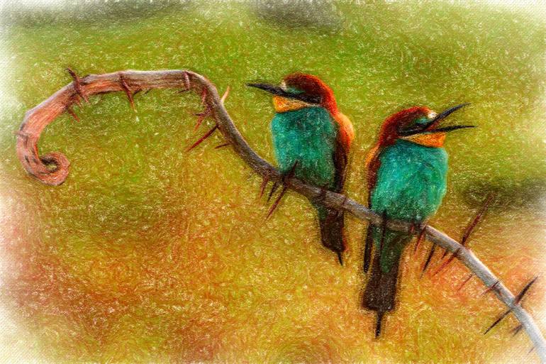 Bee Eater Painting by Peter Oswald | Saatchi Art