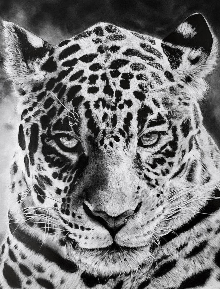 EL REY Drawing by Benjamin Valle | Saatchi Art