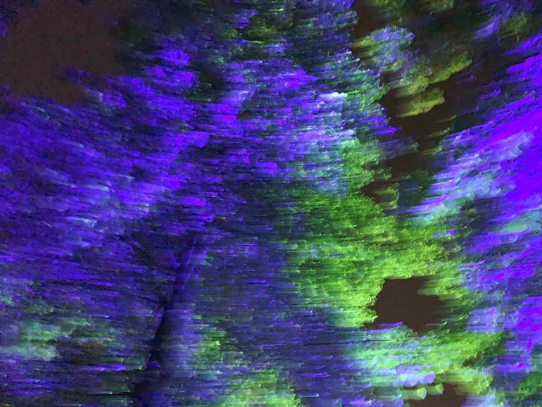 Trees are made of STARDUST Photography by Jo Holt | Saatchi Art
