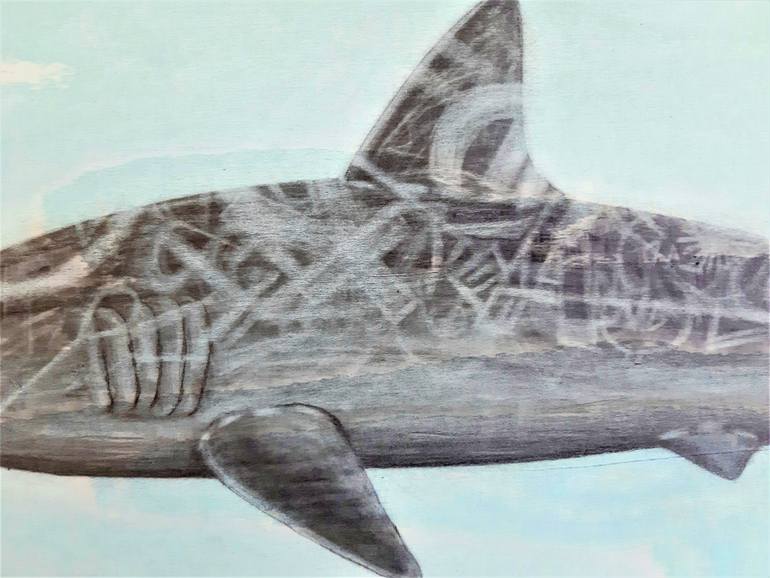 The Shortfin Mako Shark Drawing by Tom Van Herrewege | Saatchi Art
