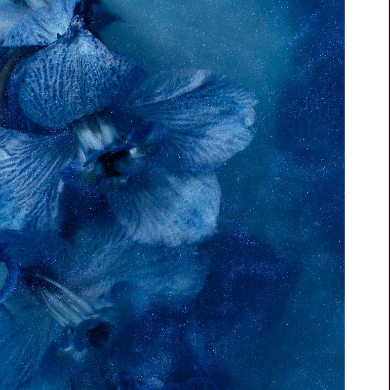 'Sink Into Blue', Signed, - Limited Edition of 48 Photography by Jim ...