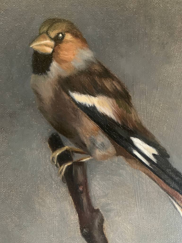 Still life of a finch Painting by Cristie Hancock | Saatchi Art