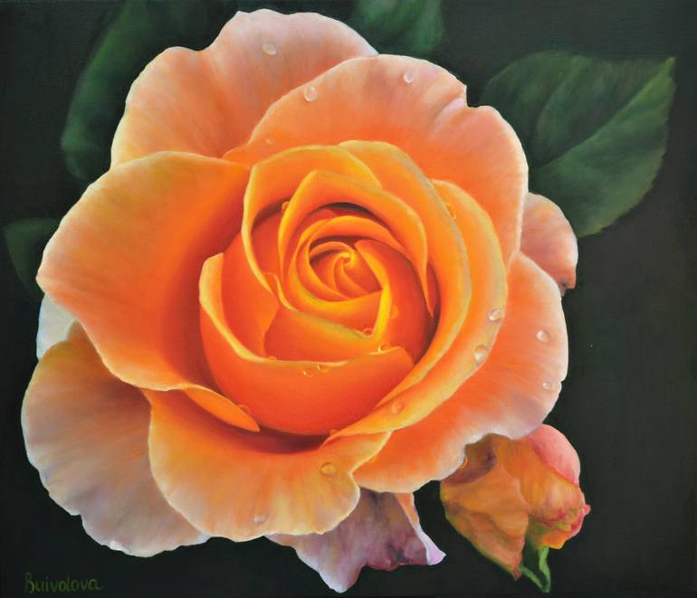 orange rose Painting by Irina Buivolova | Saatchi Art