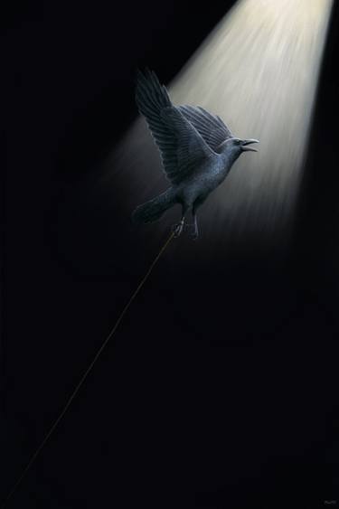 Marcel Witte | Saatchi Art