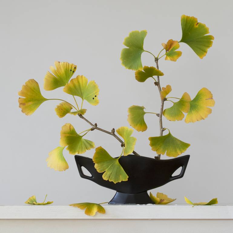 GINKGO 2.18 pm - Limited Edition 1 of 5 Photography by Emma Bass ...