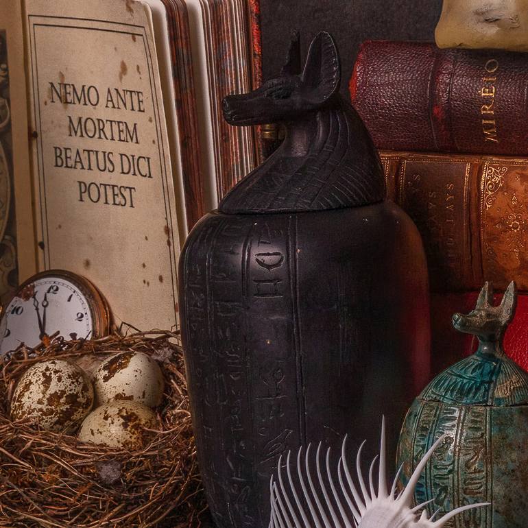 Vanitas: Nemo ante mortem beatus dici potest Photography by Charles ...