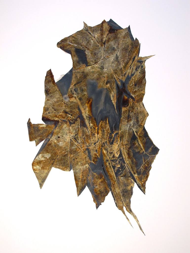 Nut Series - 26 Painting by Matthew Adam | Saatchi Art