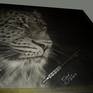 leopard - hyper realistic pencil (120hrs) Drawing by Prabath Zoysa ...