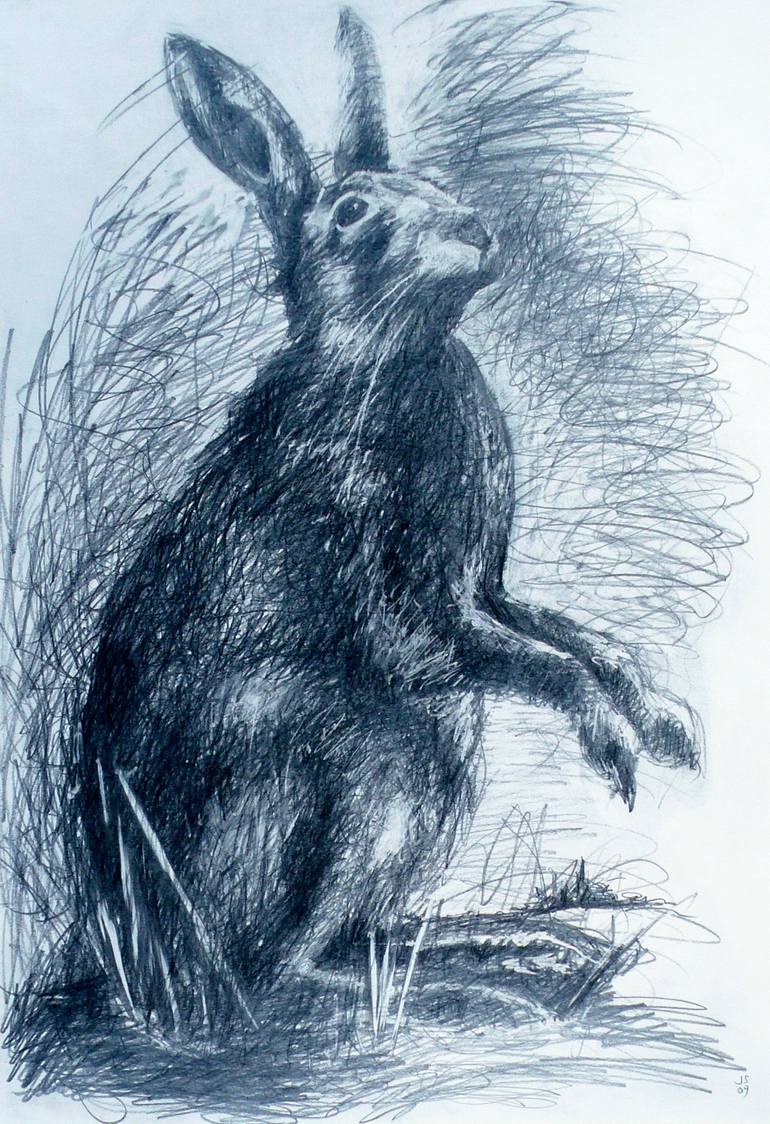 MARCH HARE Drawing by Joy Osman | Saatchi Art