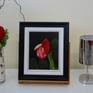 Flaming Red Anthurium Painting by Gilbert Lessard | Saatchi Art