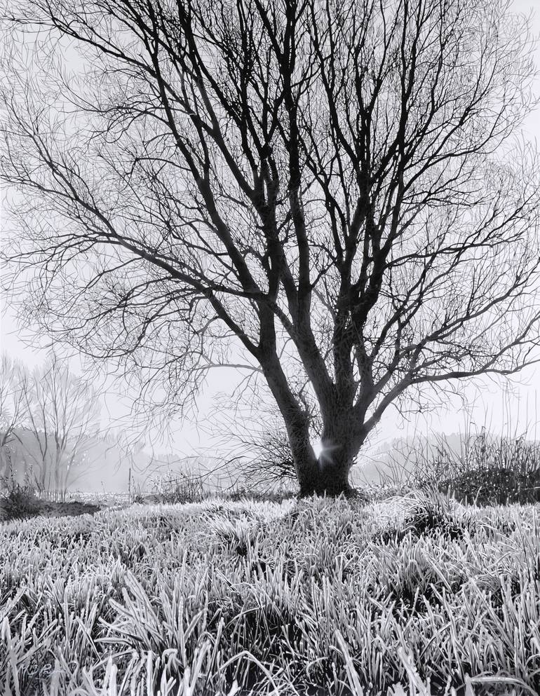 Dawn at Grafham Lake Painting by Mark S Payne | Saatchi Art