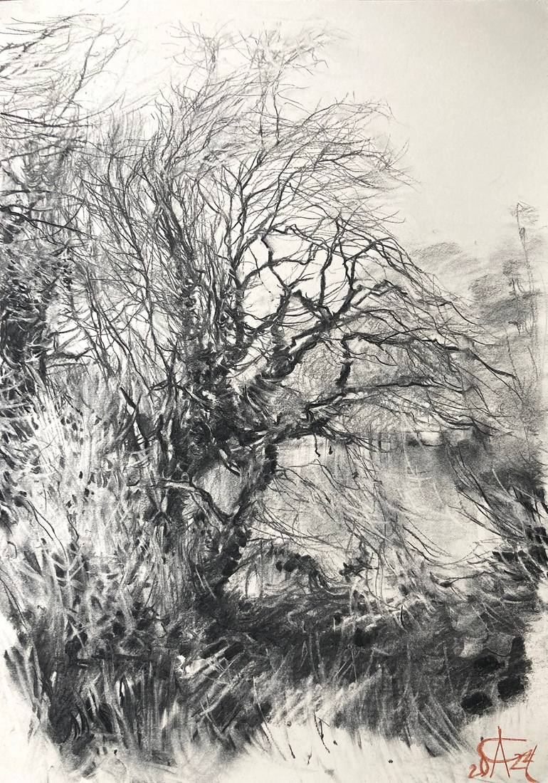 Grunewald. Between route 19 and route 29. Album Berlin Drawing by ...