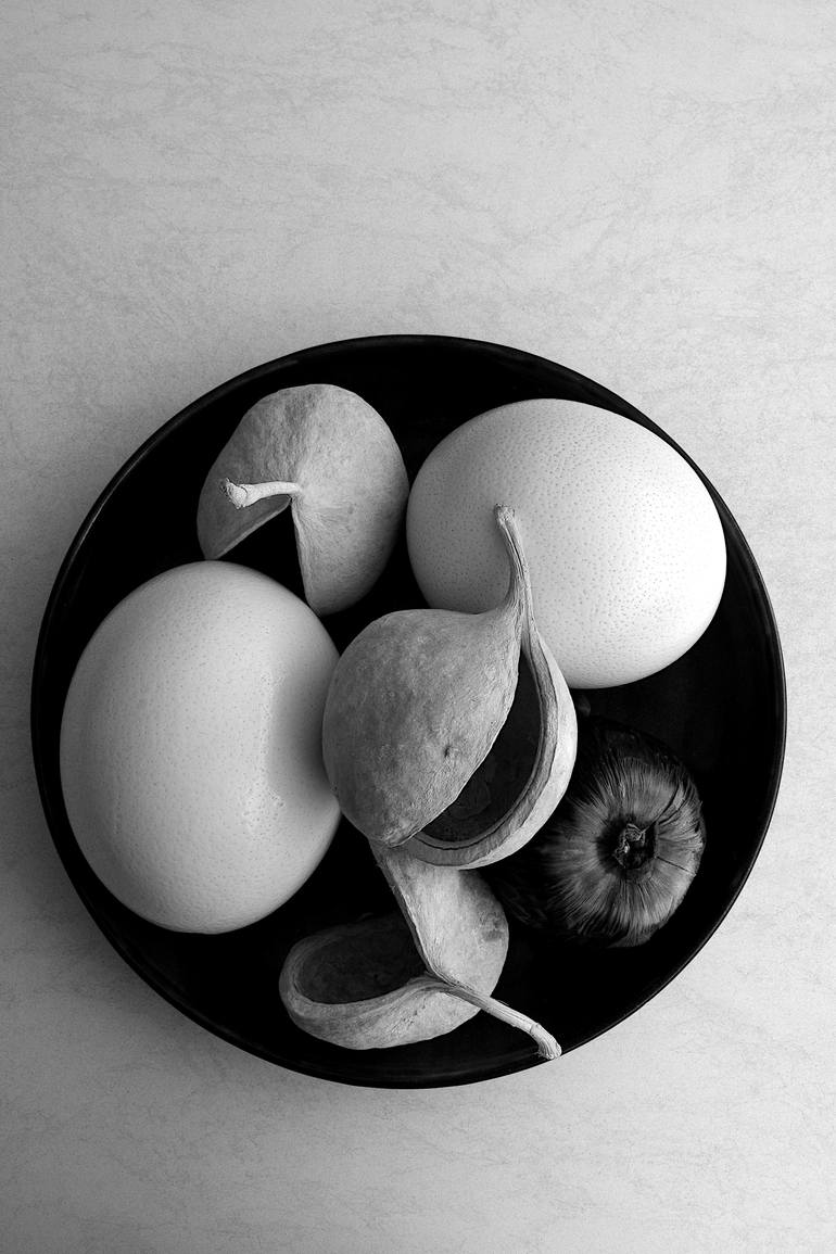 Ostrich Shells. Photography by Daniel Ravel Fine Art Photography ...