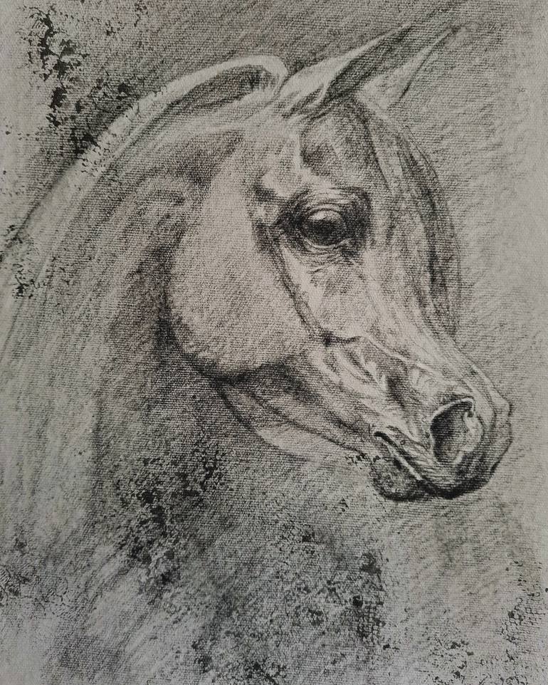 Horse Drawing by Daniela Struna | Saatchi Art