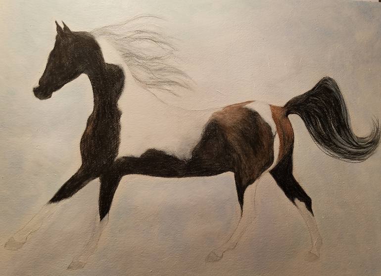 Cherokee Drawing by Patricia Masterton | Saatchi Art