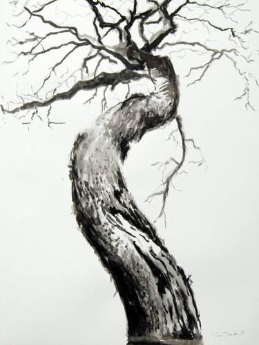 Pencil Drawings Of Twisted Trees