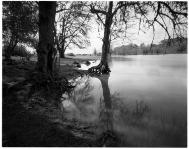 Andrew Kaiser Artworks | Saatchi Art