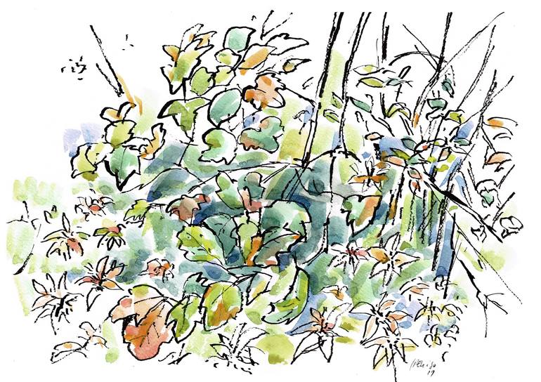 Follaje_con_azul_1 Drawing by Felipe Perez-Enciso | Saatchi Art