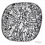 CIRCULAR MANTRA Drawing by Mikhey Nosorogov | Saatchi Art