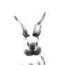 Sumi-e Rabbit Painting by Milla Krivdina | Saatchi Art