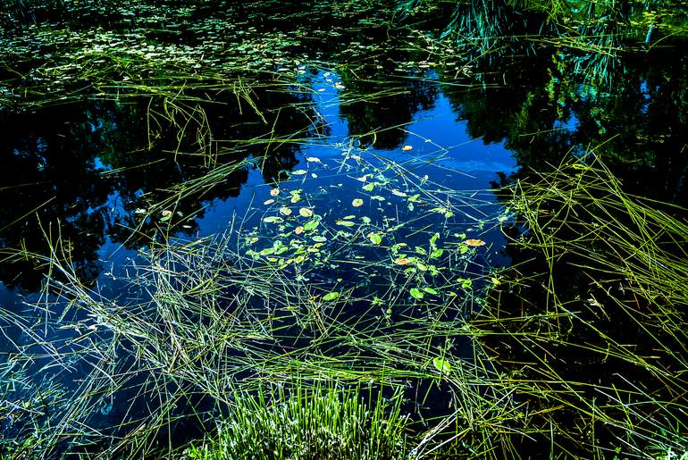Dark Pond No 1 Photography by Ian Hubball | Saatchi Art