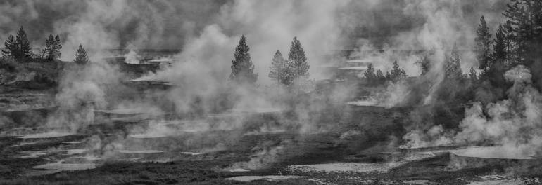 Black Forest - Limited Edition of 5 Photography by Jessica Lozoya ...