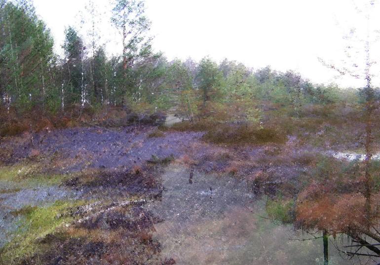 THE MYSTERIOUS ATTRACTION OF MORASS - Limited Edition of 5 Photography ...