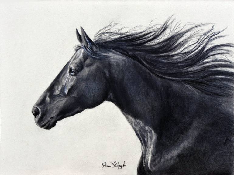 Windswept Drawing by Maria D'Angelo | Saatchi Art