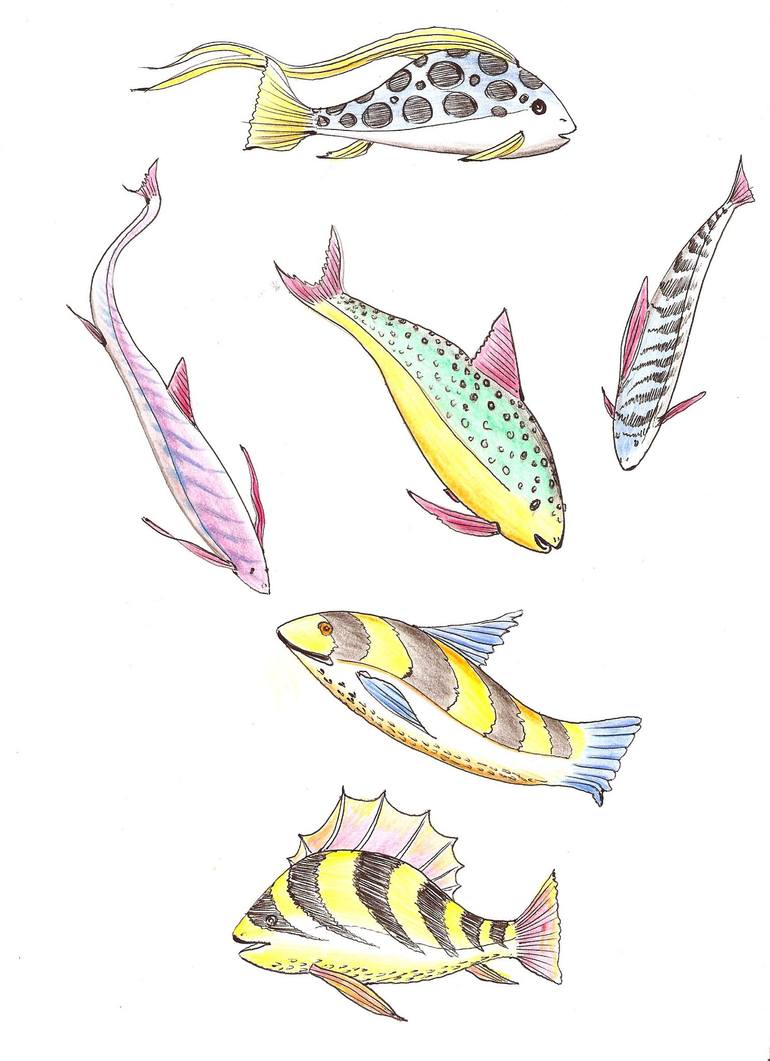 tropical fish Painting by Daniel Shaw-Smith | Saatchi Art