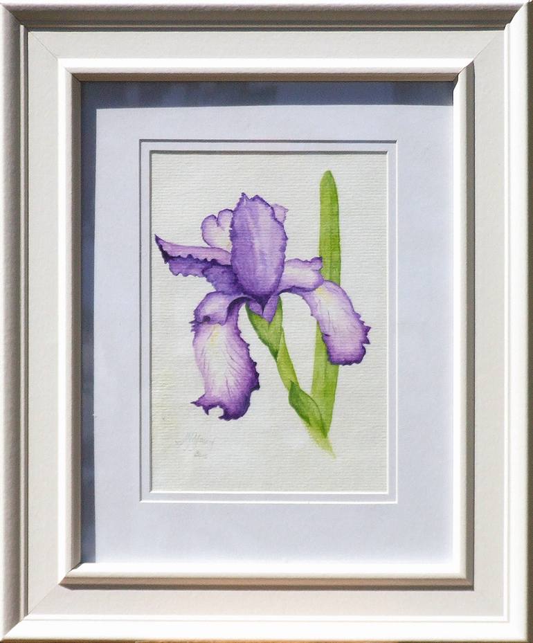 Bearded Iris Painting by John N Mason | Saatchi Art